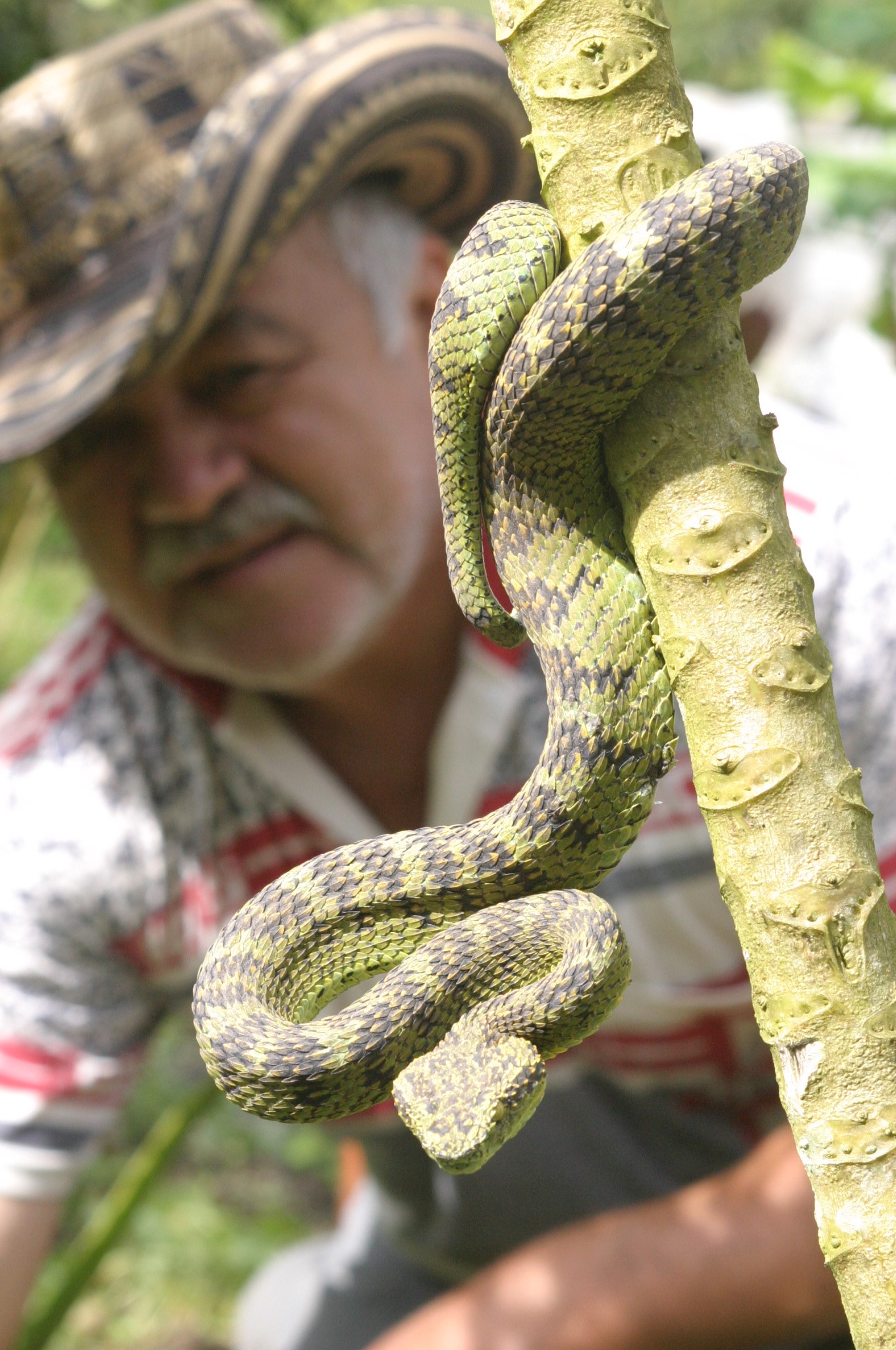 Laboratorios Probiol - Galería
