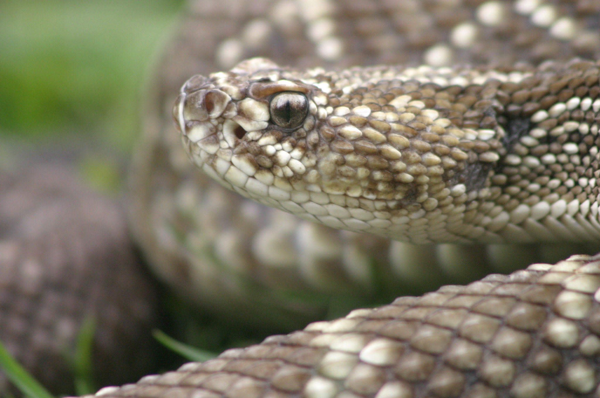 Laboratorios Probiol - Galería